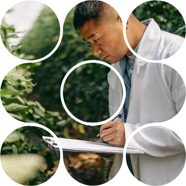 Cauldron | Our Technology