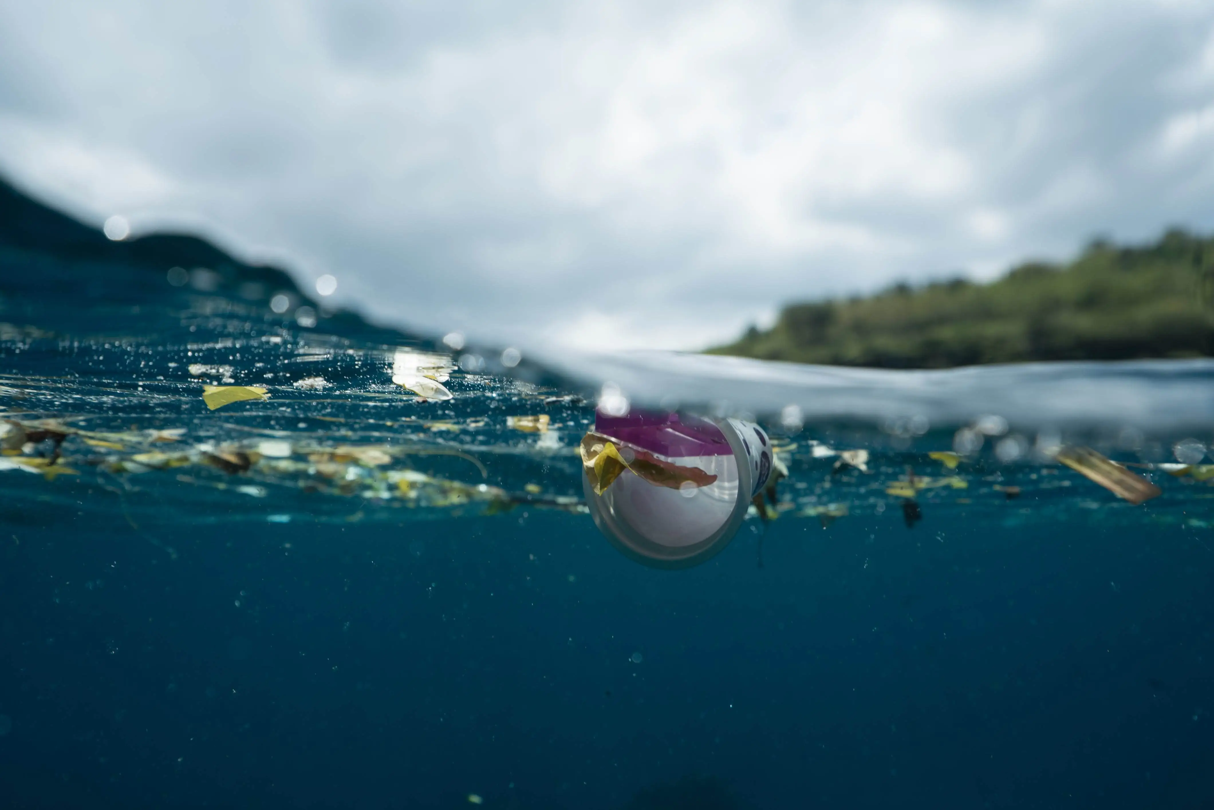 Helping organizations clean plastic from oceans l Second Life
