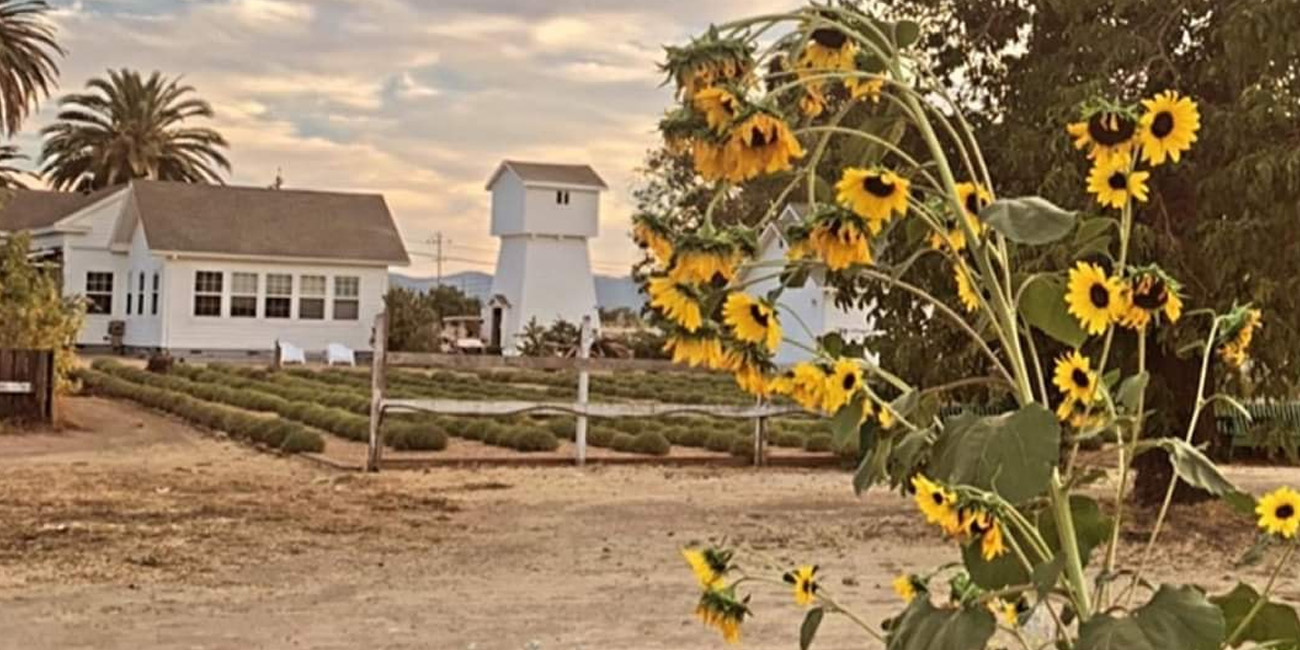The Farms of Lake County