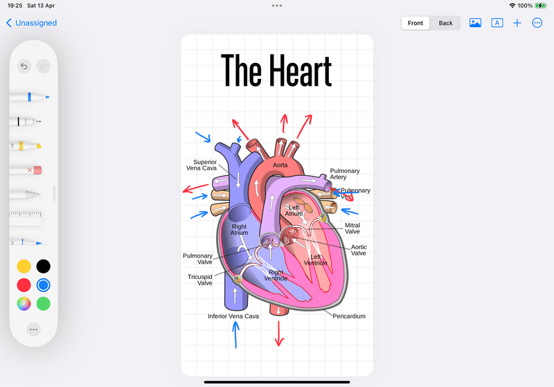 Feyn - The Best iOS Flashcards App