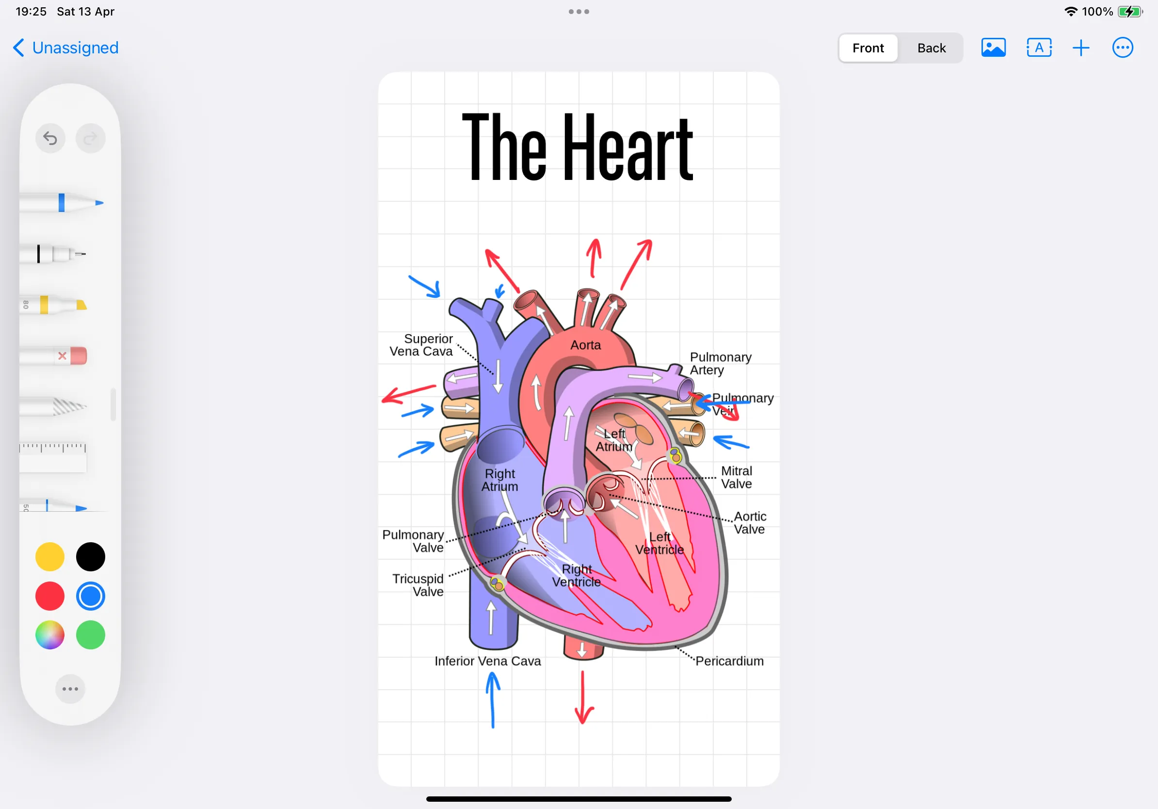 Feyn - The Best iOS Flashcards App