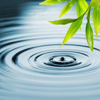 Spring Hill Wellness NY | Long-term Recovery for Everyone