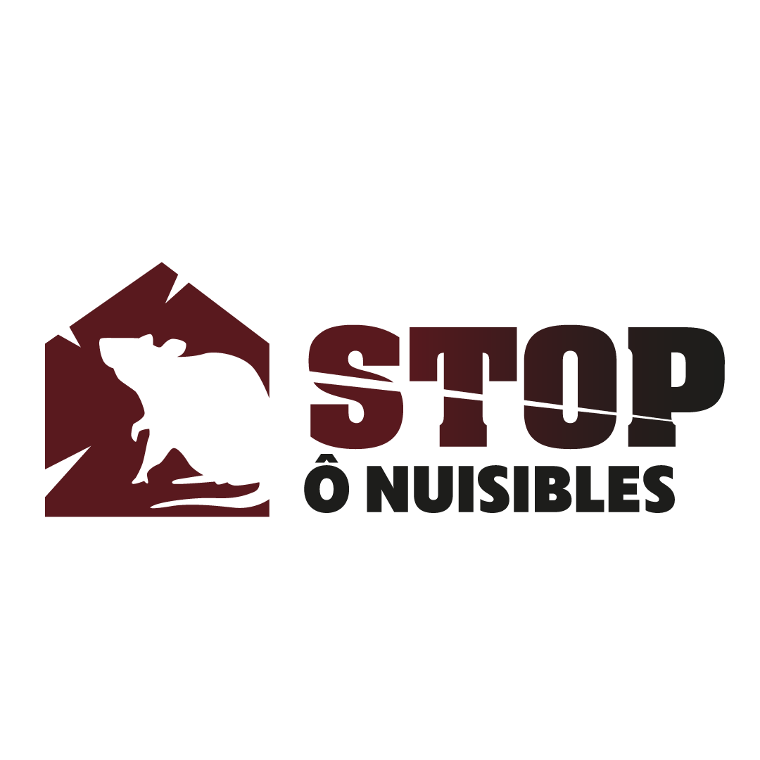 Accueil - Élimination Professionnelle des Nuisibles avec Stopônuisibles