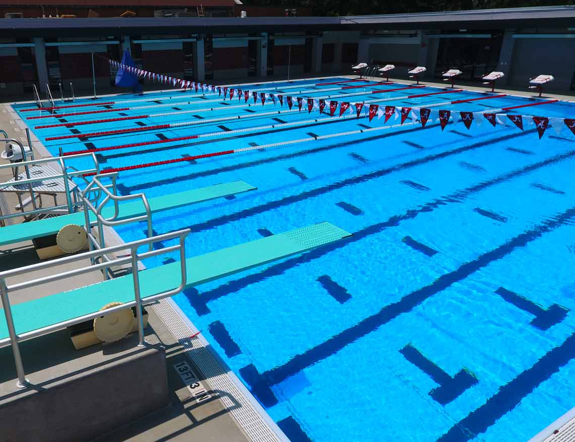 TAC - Crafting Aquatic Excellence, One Myrtha Pool at a Time