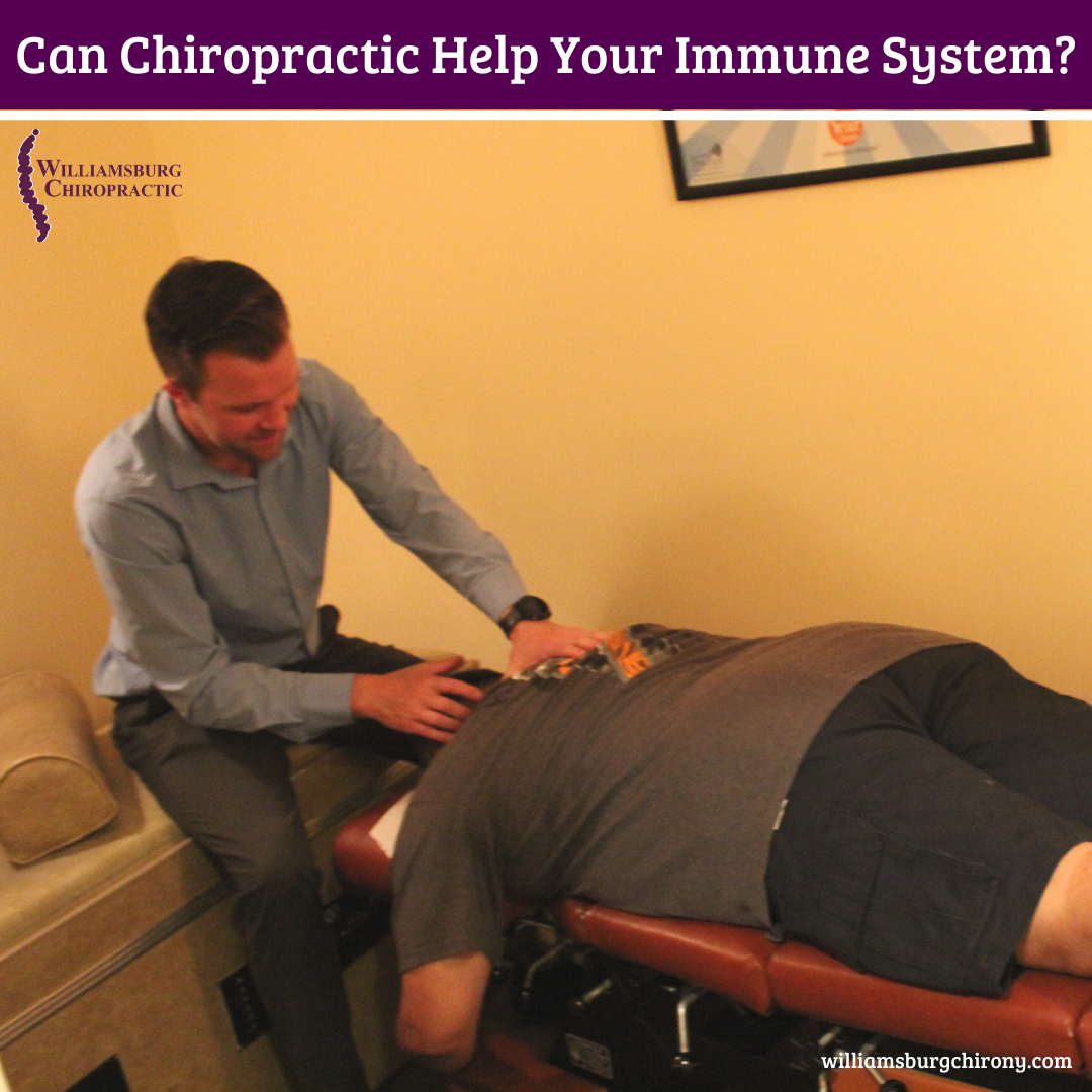 Can Chiropractic Help Your Immune System? — Williamsburg Chiropractic
