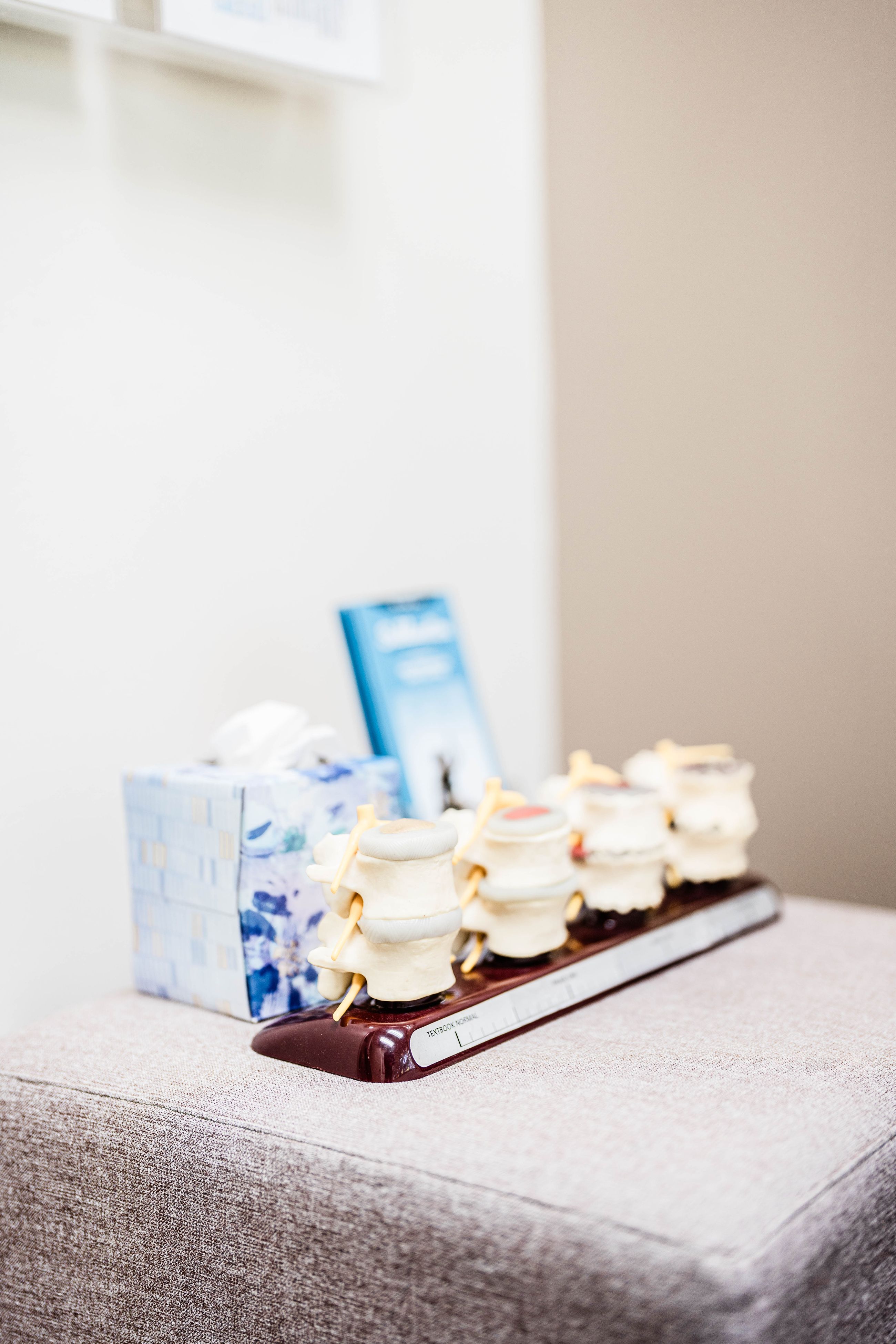 Butler Chiropractor | Chiropractor in Butler, PA | Butler Pain Relief