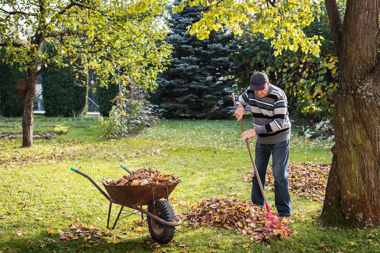 Yard Work & Back Pain: 10 Ways To Stay Independent & Pain Free