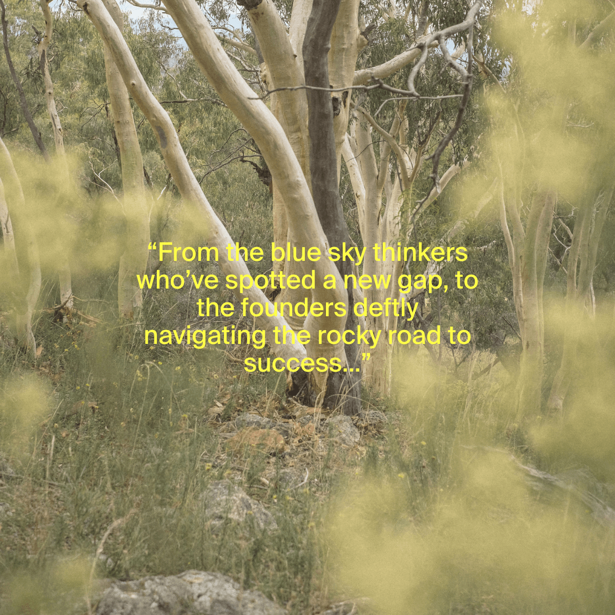 Open Source VC | Airtree Ventures