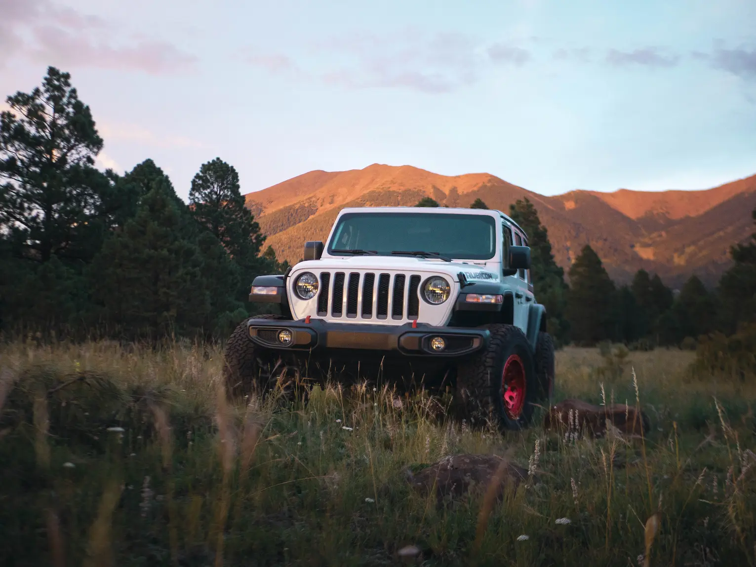 Three One Six Digital - Your Digital Marketing Partners