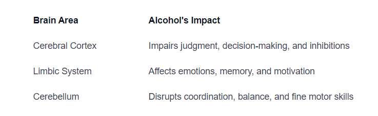 Neurological Effects of Alcohol | Spring Hill Wellness NY