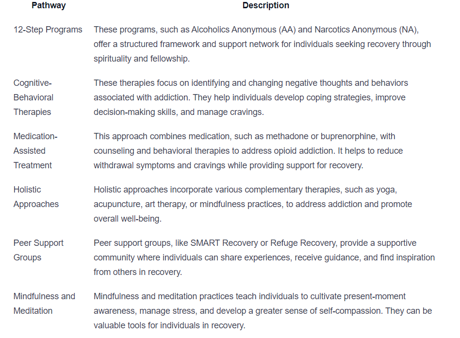 The Multiple Pathways Approach to Addiction Recovery | Spring Hill ...