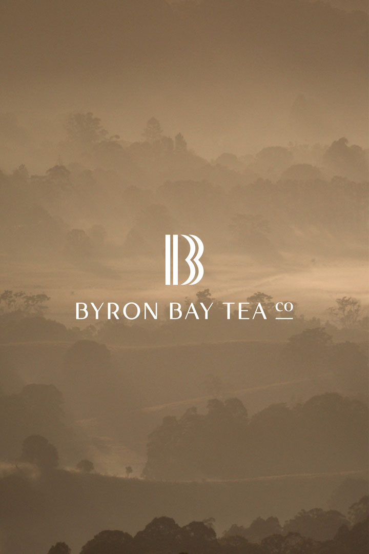 Our Work | Electric Brands