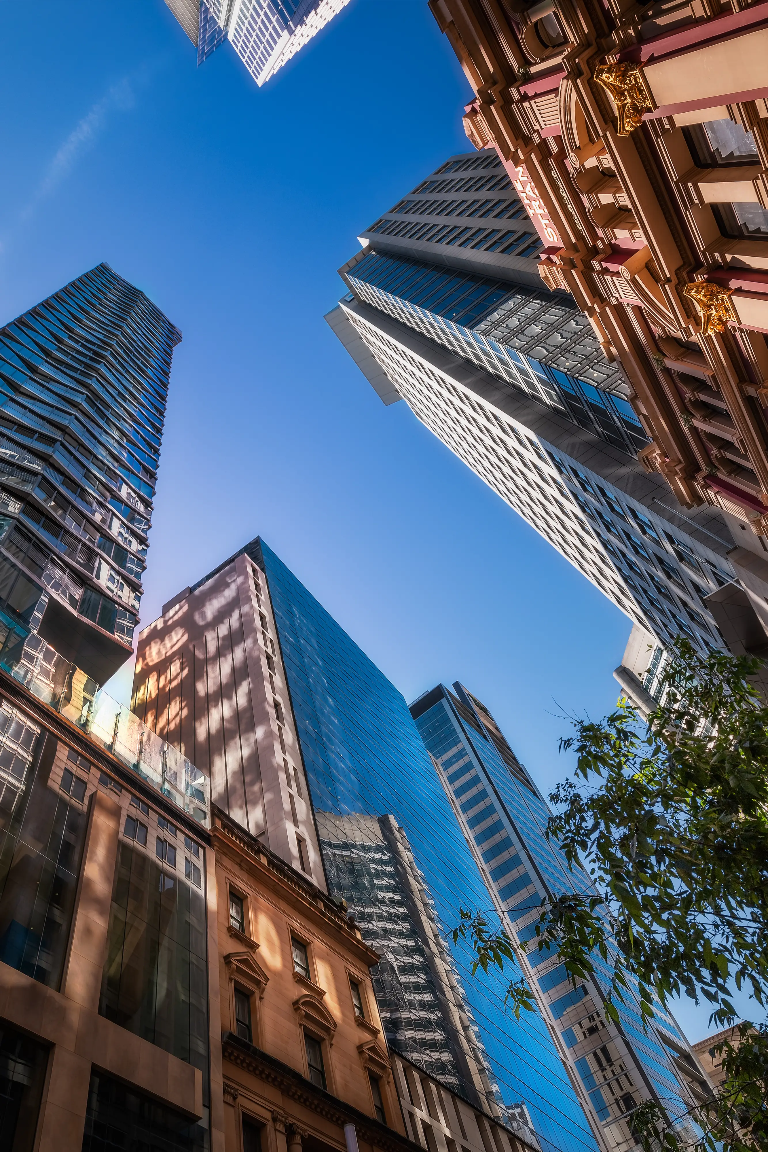 Our Team | APAC FM Recruitment