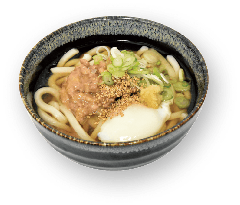Traditional Udon