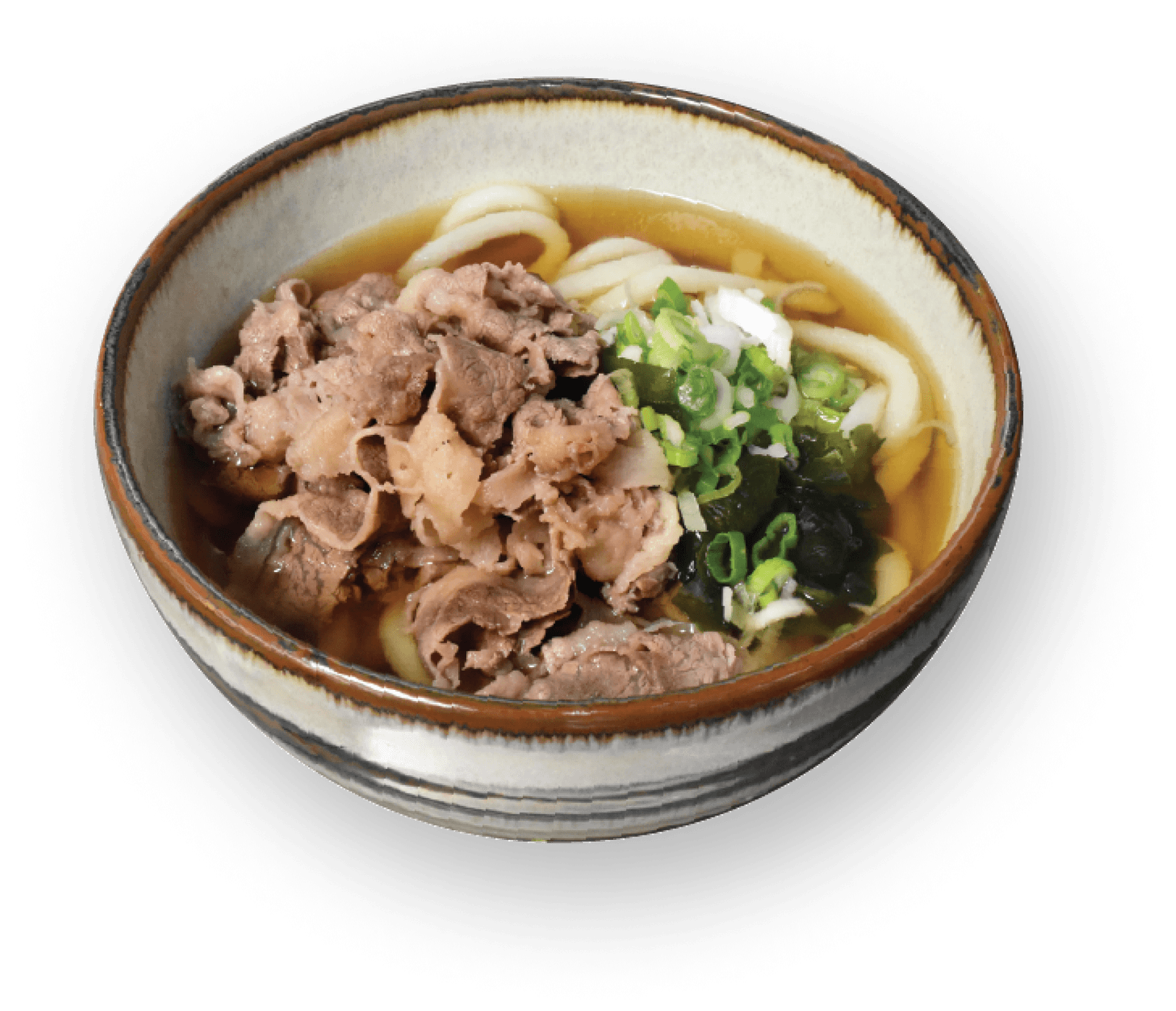 Traditional Udon