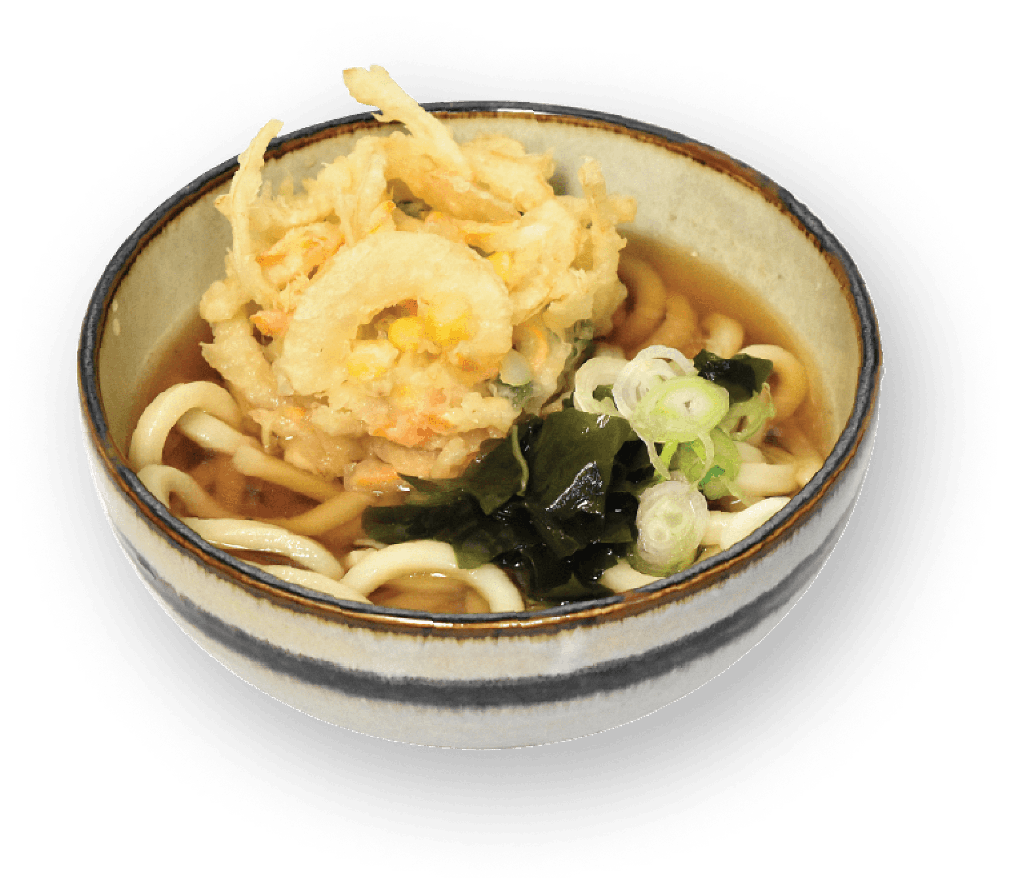 Traditional Udon