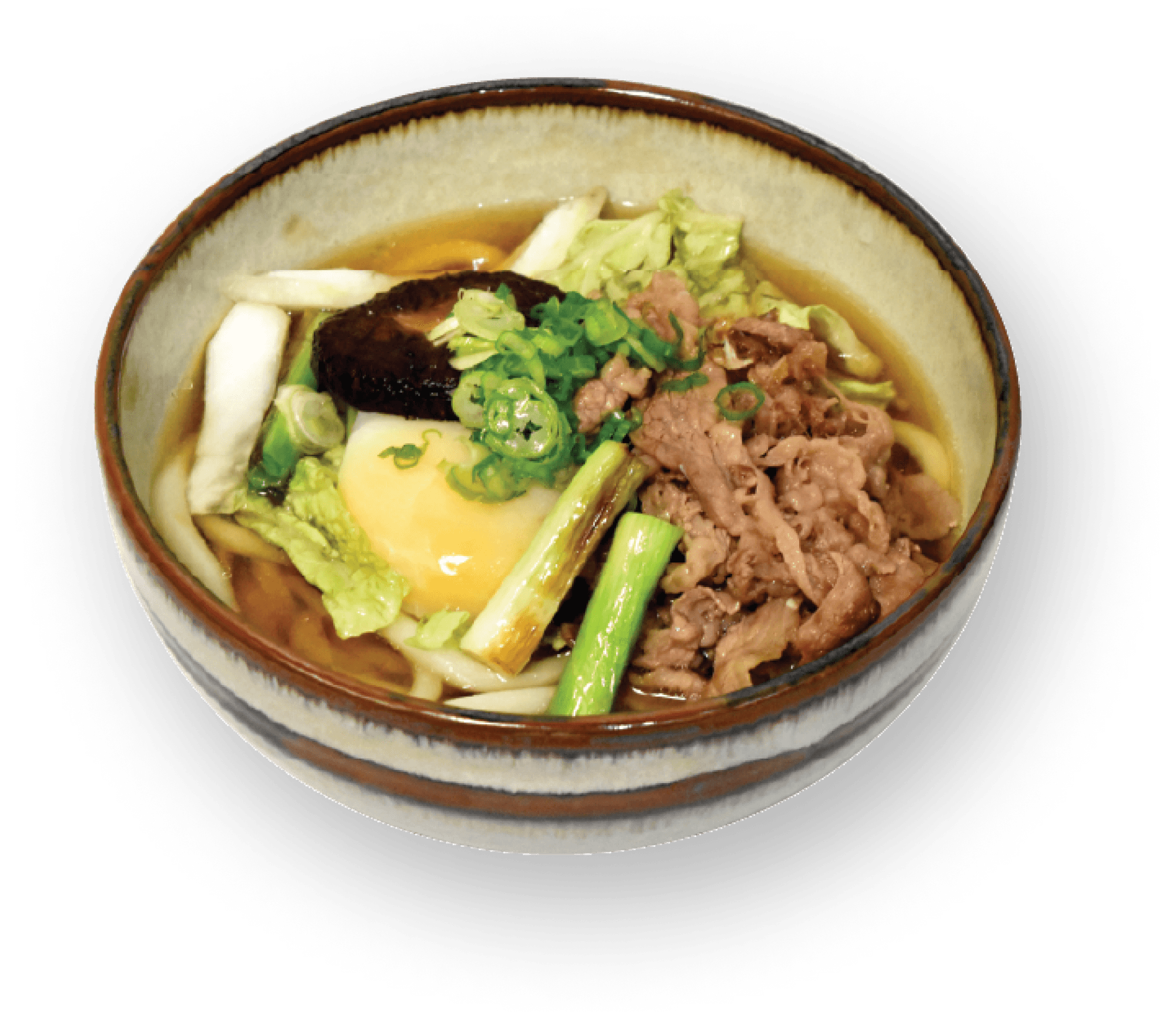 Traditional Udon