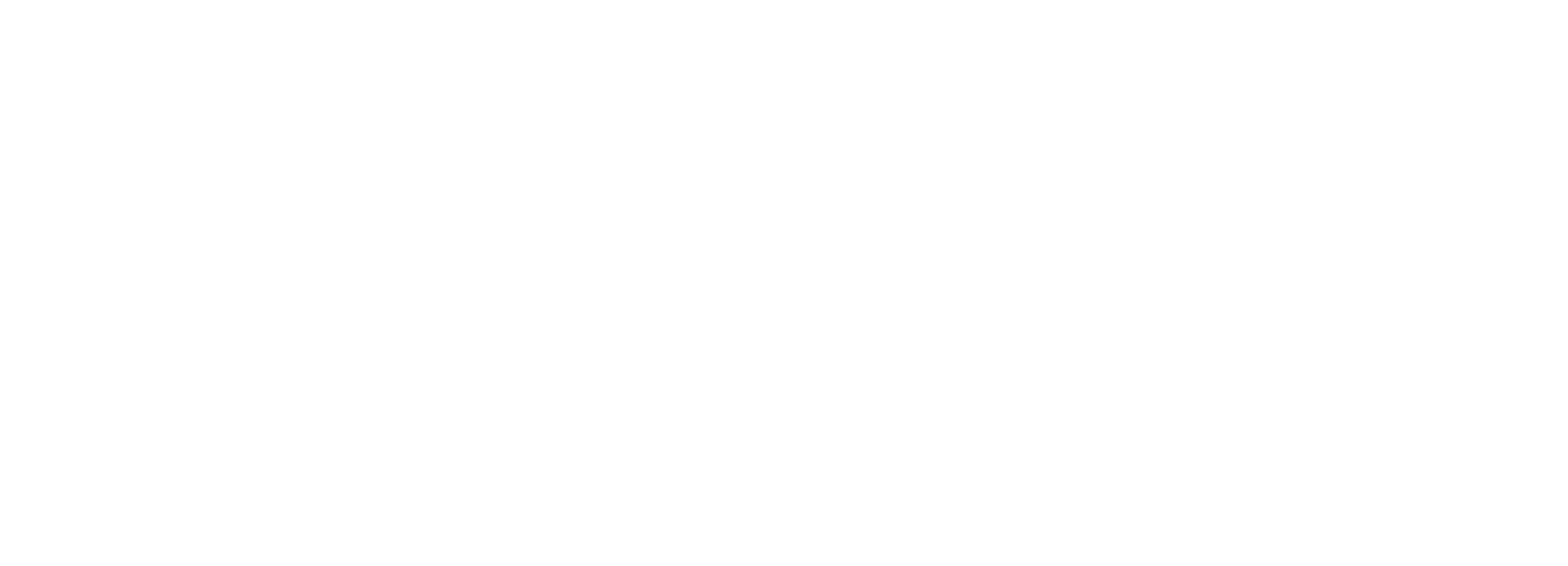 Revolution Entertainment Services