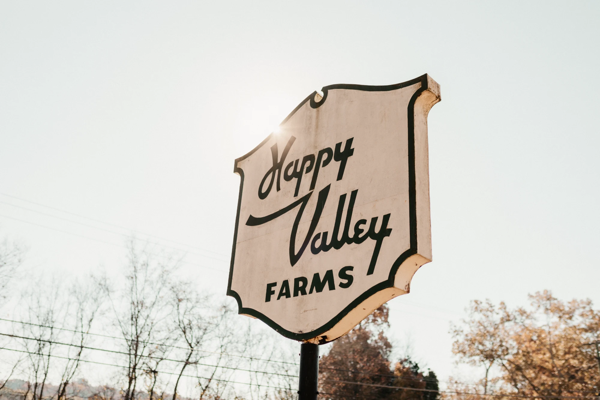 Discovering The History of Happy Valley Farms