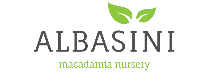 Albasini Nursery - Specialised macadamia nursery