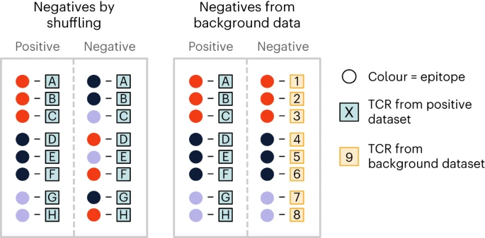 Watch out for negative data bias in machine learning