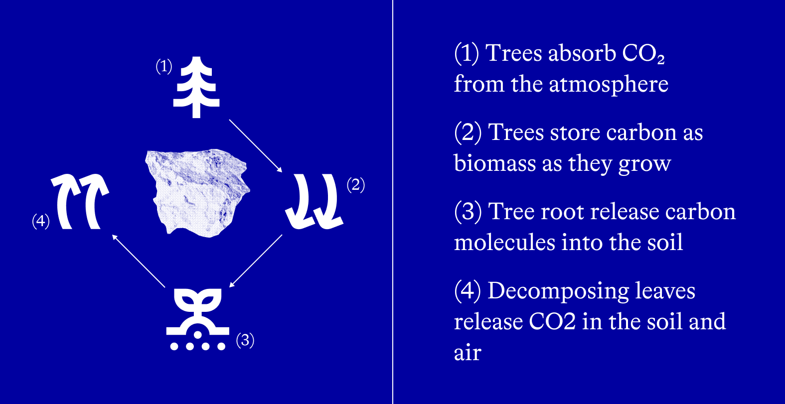 Carbon Offsets 101: Forestry Primer