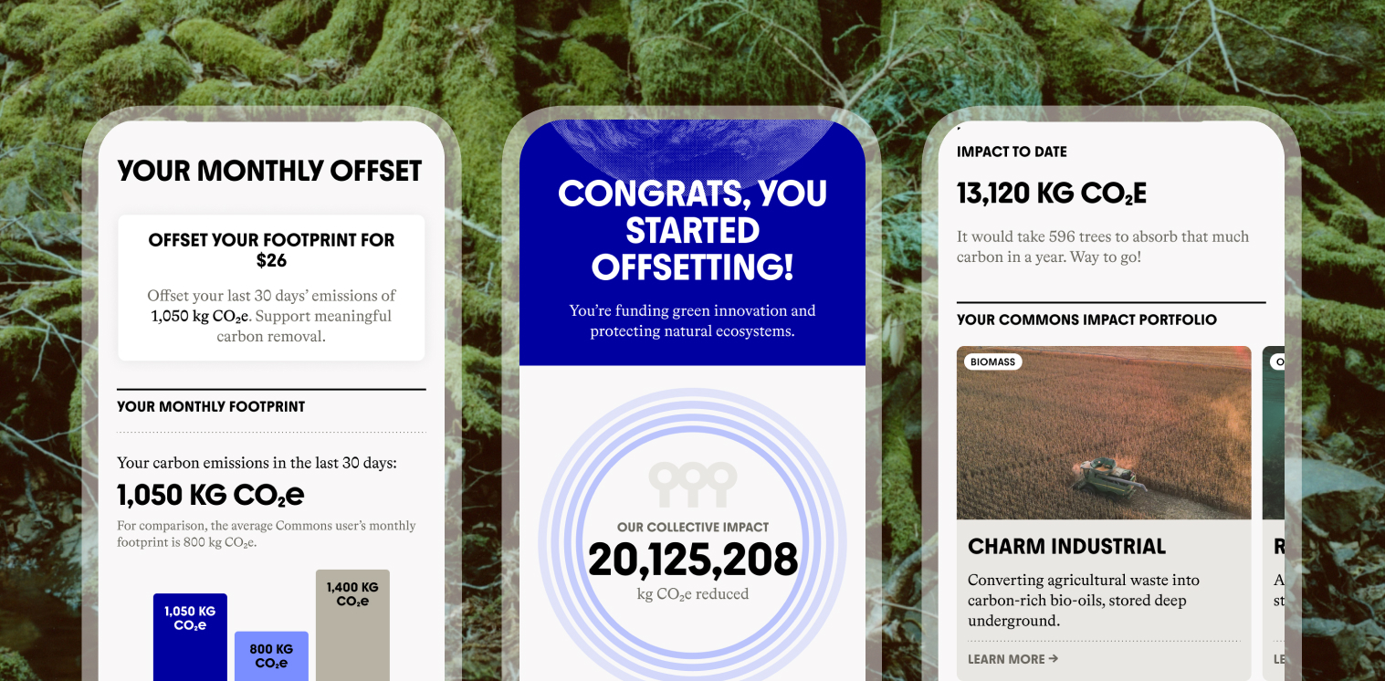 Commons' Guide to Carbon Offsetting