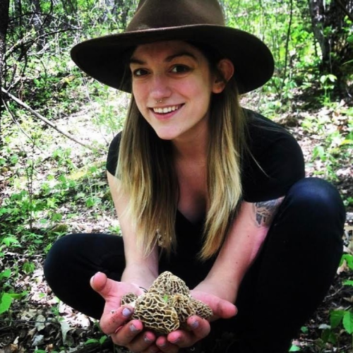 Queer Ecology: 8 Examples in Wildlife