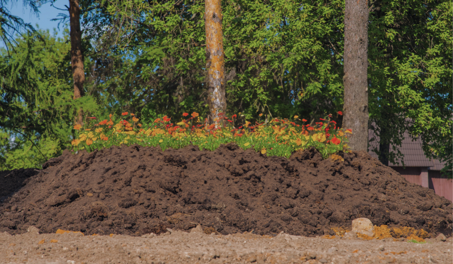 Human Composting: A More Sustainable Way to Die