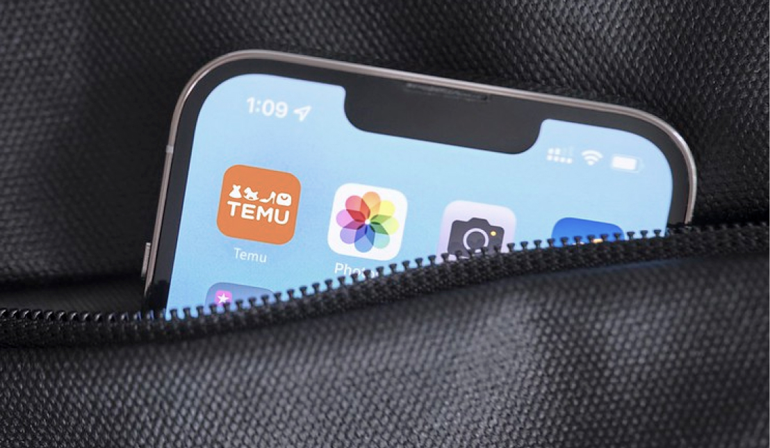 Is Temu Sustainable? The Ethical and Environmental Costs