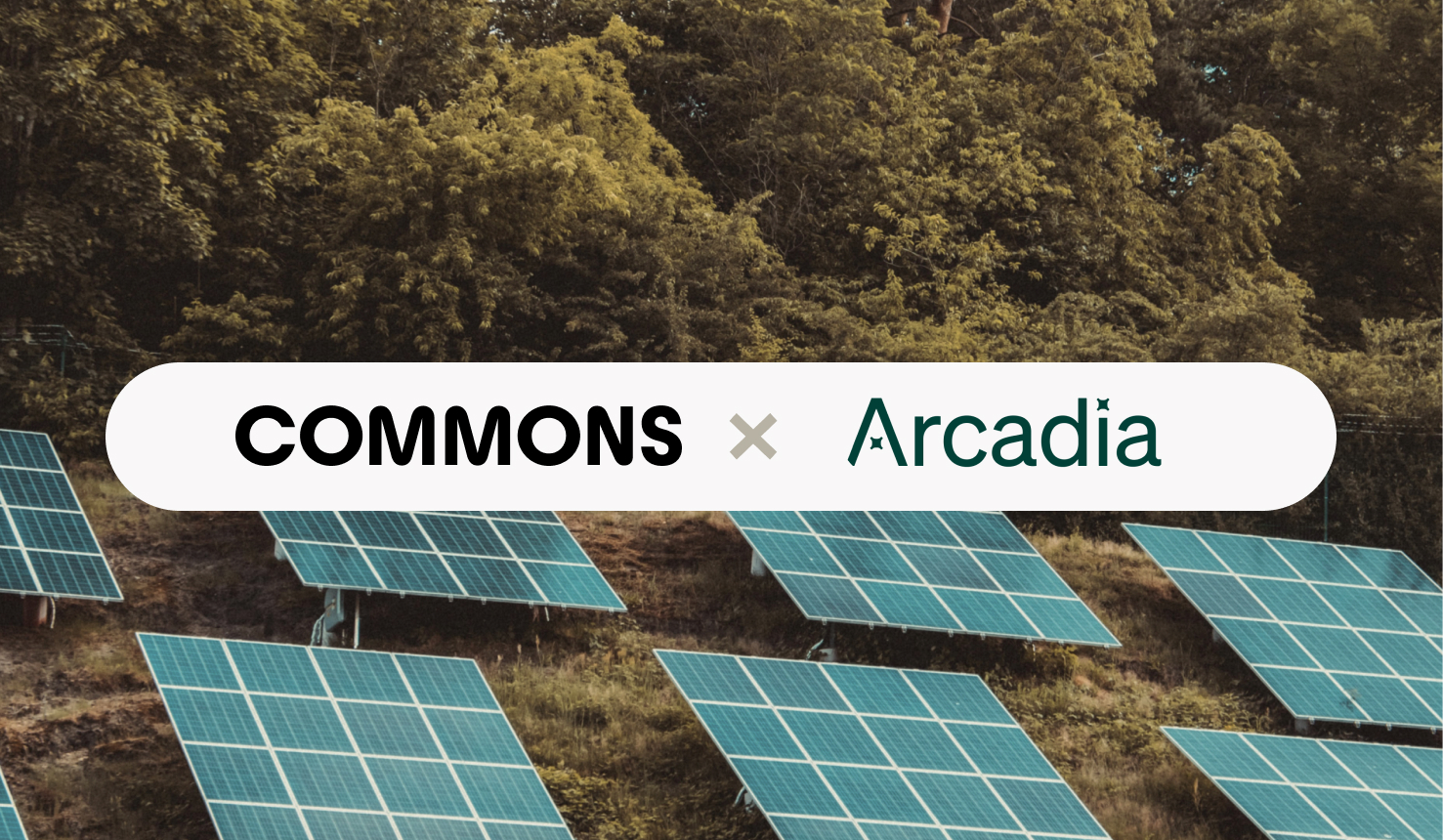 Solar, Simplified: A Q&A with Arcadia About Community Solar