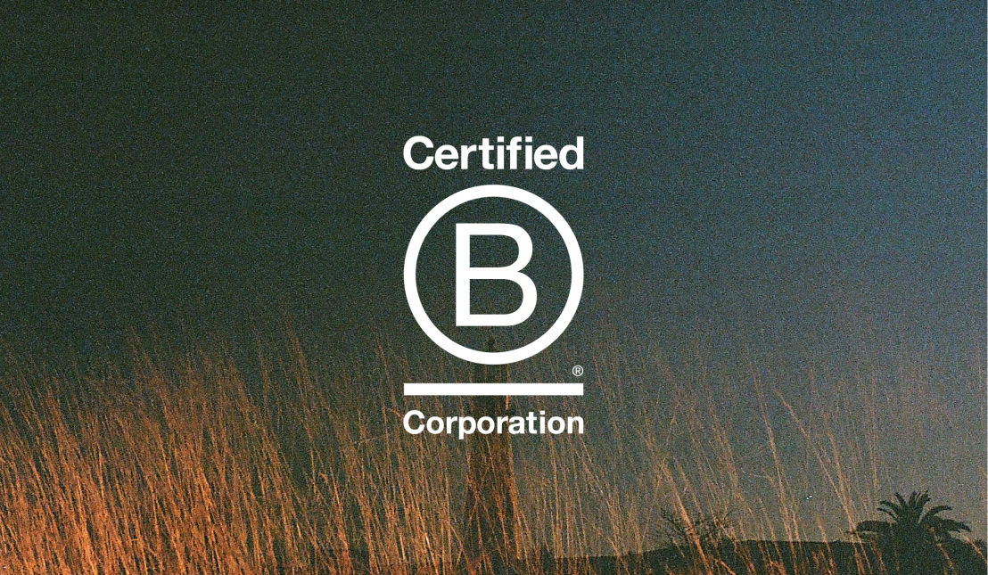 What is a B Corp and How Do Companies Get Certified?