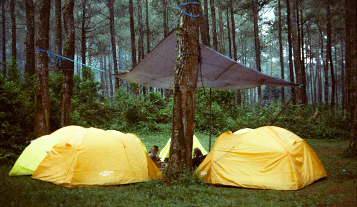 5 Tips for Budget-Friendly Camping