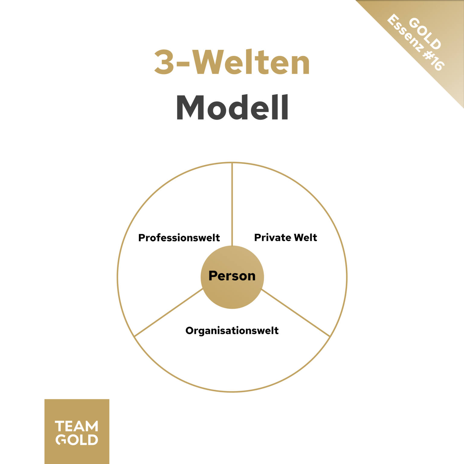 GOLD-Essenz #16 | 3-Welten-Modell | TEAM GOLD