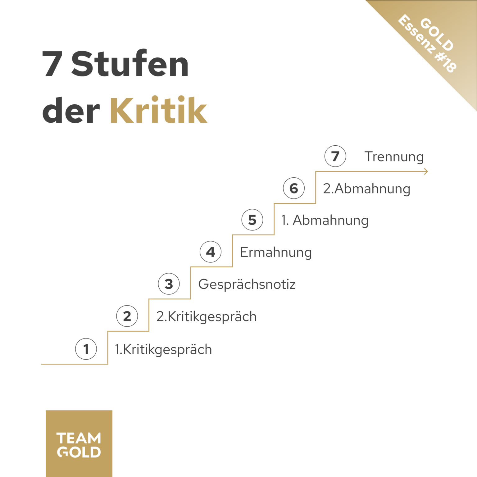 GOLD-Essenz #18 | 7 Stufen der Kritik | TEAM GOLD