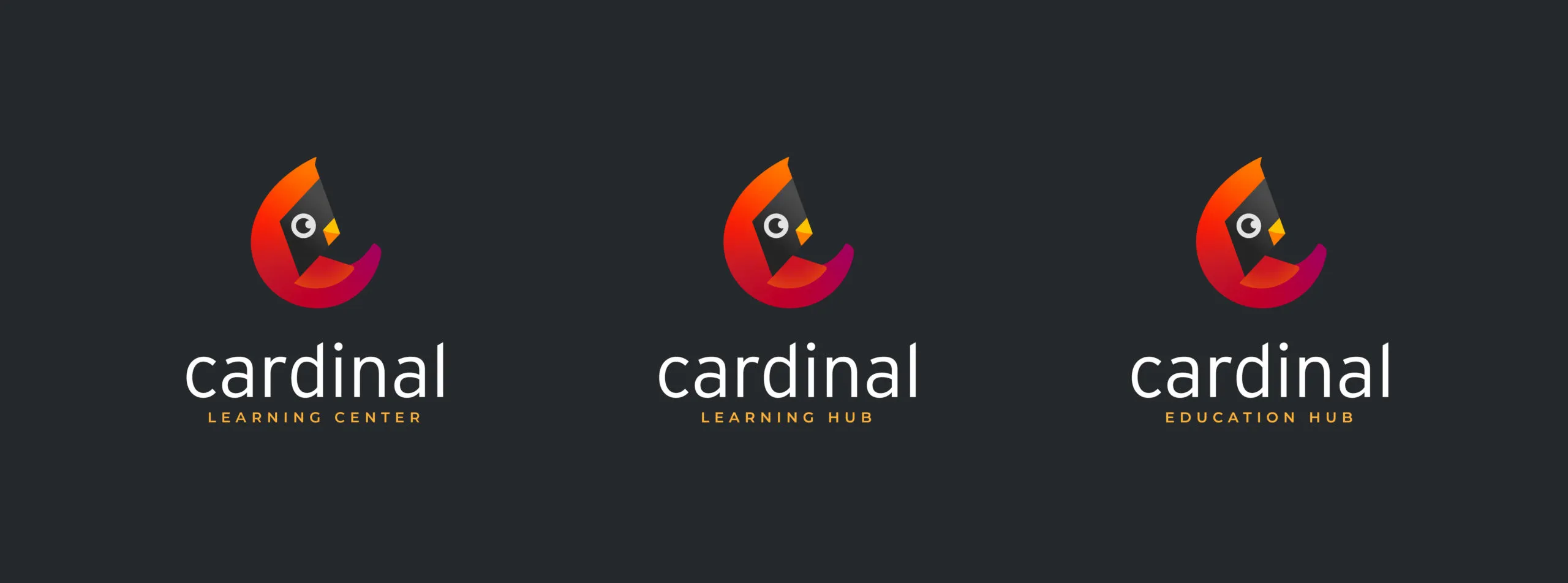 PBS North | 'Cardinal Learning Hub' Show Branding - Educational Show ...