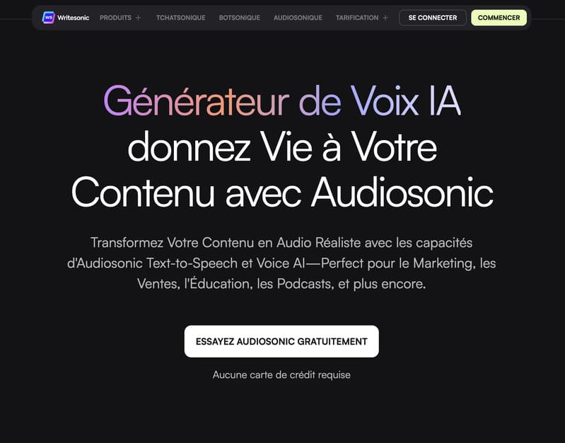 Audiosonic Full Review - Is It Worth Your Attention? (2024)