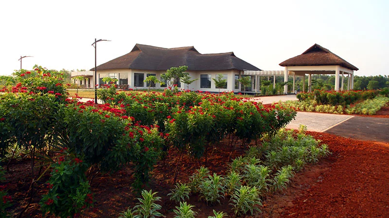 Corporate Team outing at The Anora Beach Resorts, ECR, Chennai