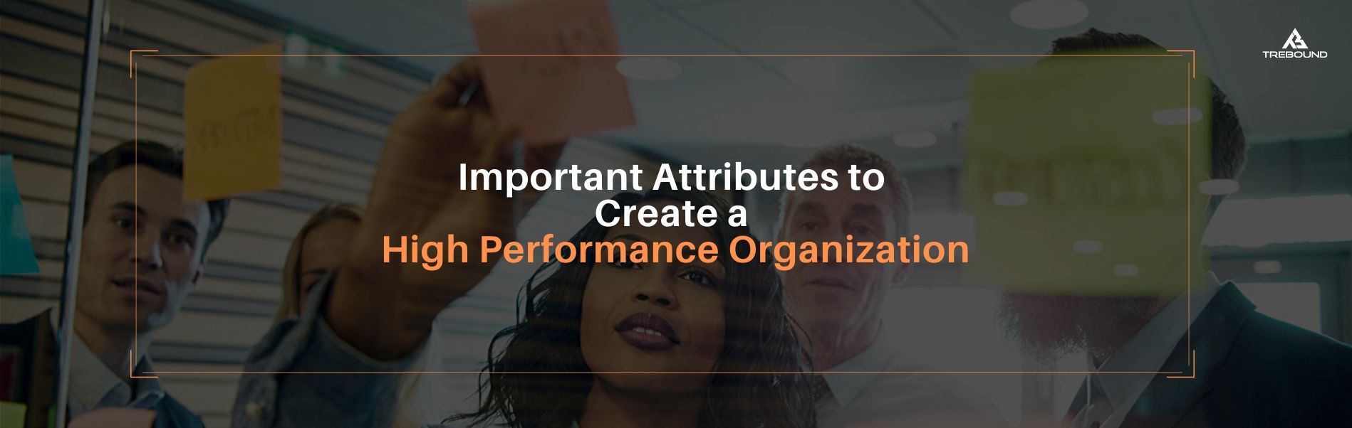 Building High-Performance: Key Attributes for Organizations