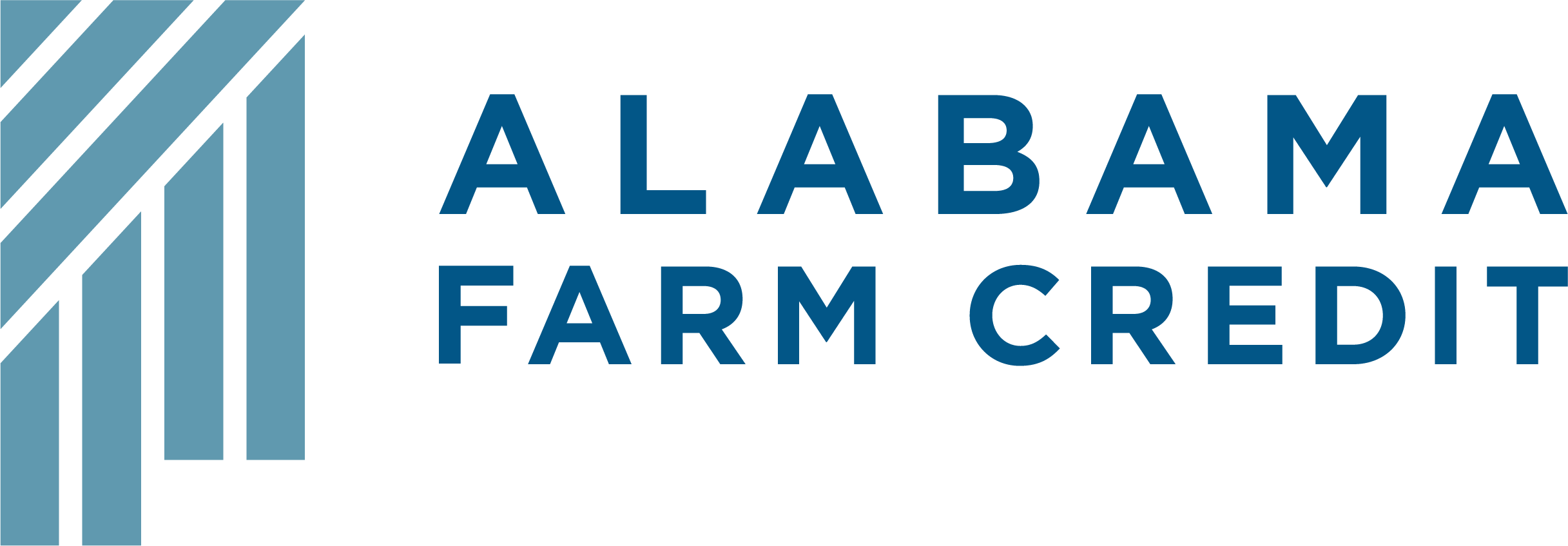 The Joy Collective - Video Production in Birmingham, AL