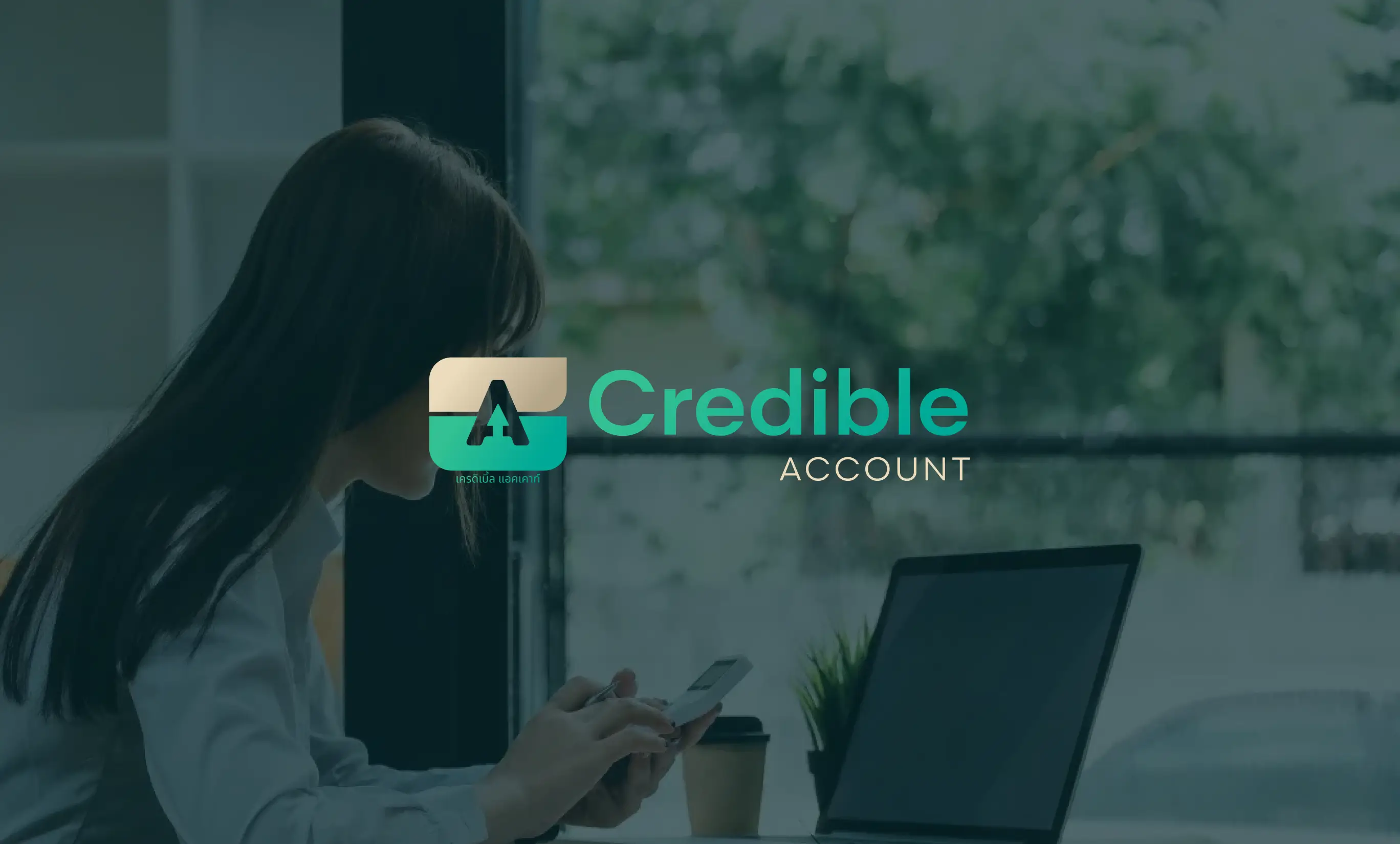 Webflow development for Credible Account | Domidex