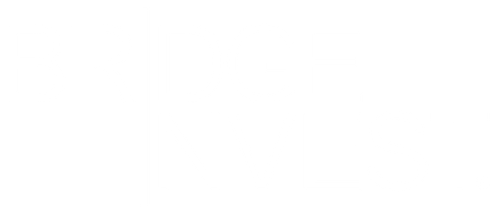 CapFlow: Intelligent Business Financing