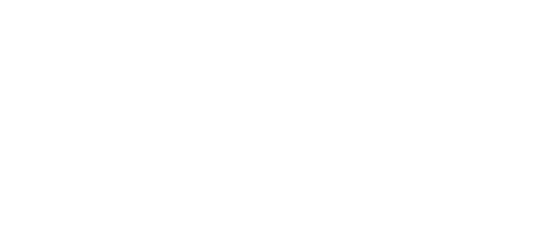 CapFlow: Intelligent Business Financing