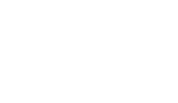 CapFlow: Intelligent Business Financing