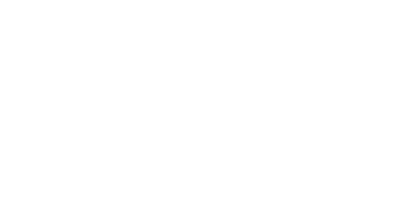 CapFlow: Intelligent Business Financing