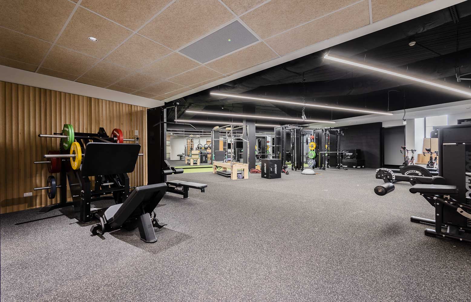 Collingwood Football Club Project | Renascent