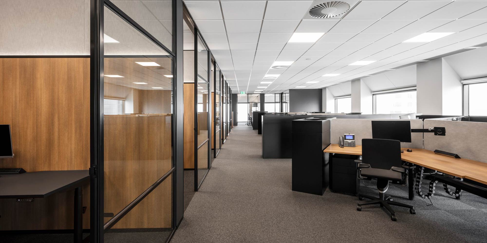 Our Projects | Renascent