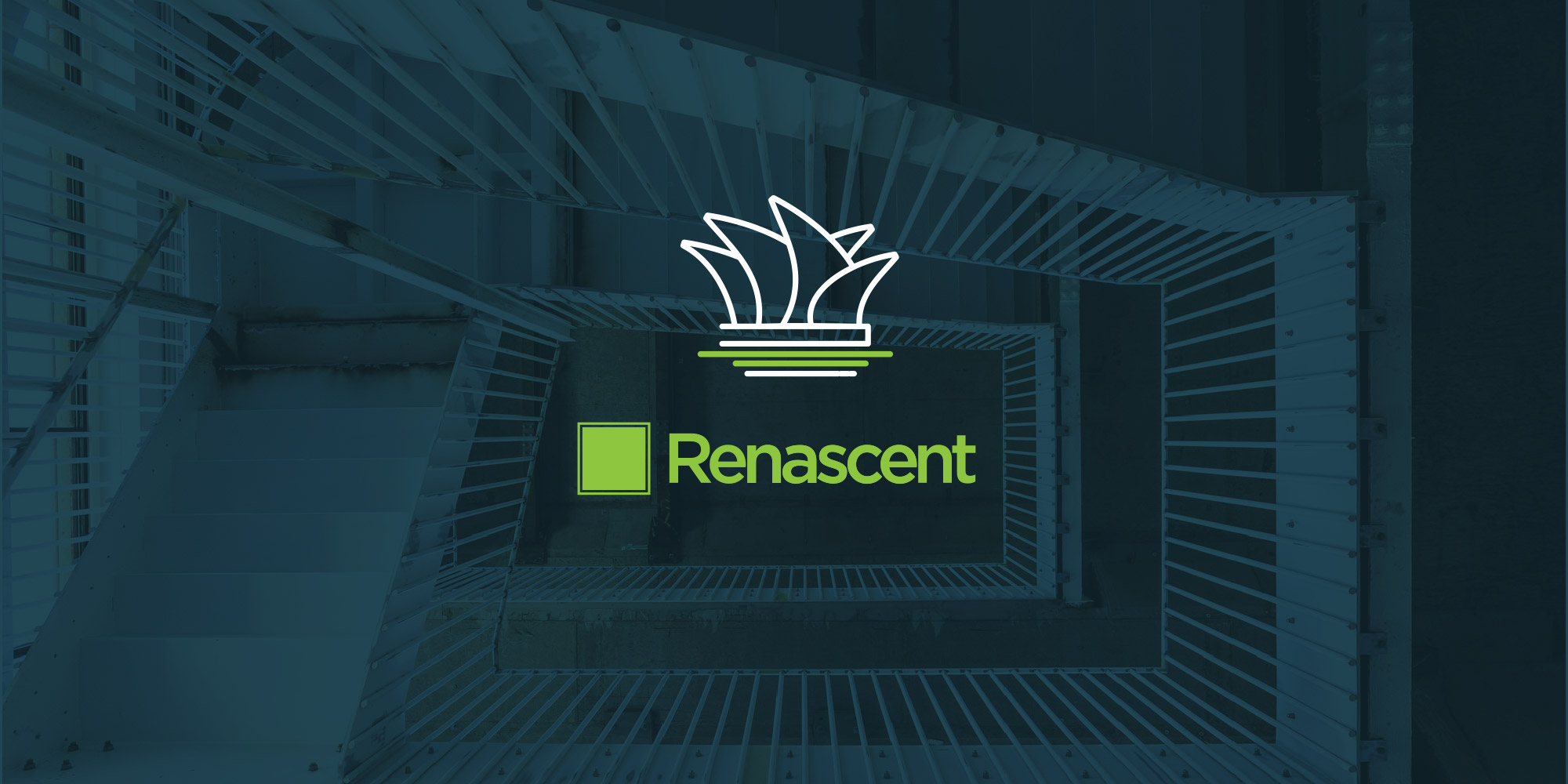 Latest News & Insights | Renascent