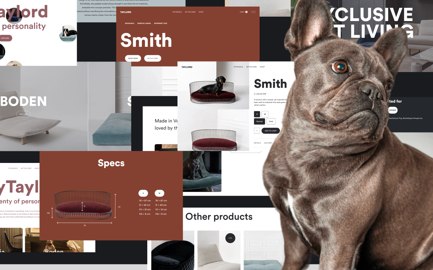 Alpaca Studio - Case Study - Taylord