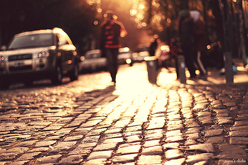 Home | The Simple Good